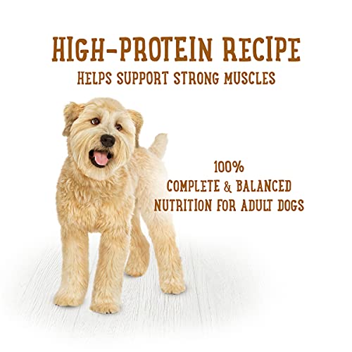 Purina Beneful High Protein, Gravy Wet Dog Food Variety Pack, Prepared Meals Stew - (2 Packs of 6) 10 oz. Tubs