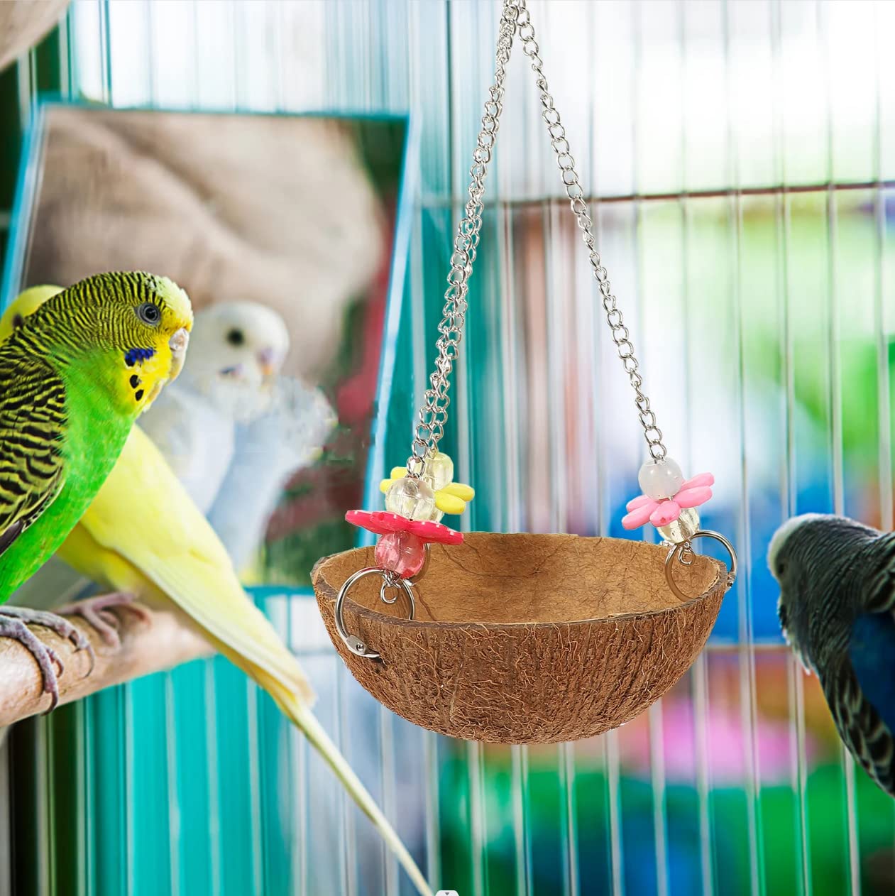 LOGOFUN Natural Coconut Shell Bird Nest Parakeet Nesting Box Parrot Bird Coconut Hut Hanging Bed Cage Swing Toys for Budgie Cockatiel Lovebird