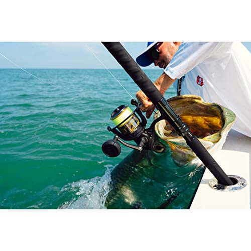 PENN Fishing Battle II & III Spinning Fishing Reel (All Models & Sizes), Black Gold, 2000 (BTLIII2000)