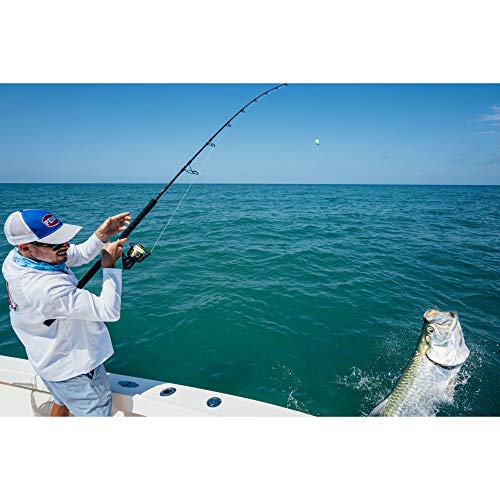 PENN Fishing Battle II & III Spinning Fishing Reel (All Models & Sizes), Black Gold, 2000 (BTLIII2000)