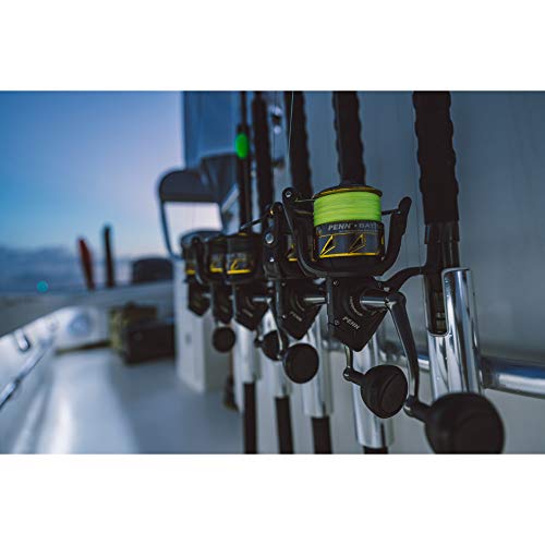 PENN Fishing Battle II & III Spinning Fishing Reel (All Models & Sizes), Black Gold, 2000 (BTLIII2000)
