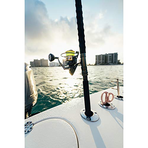 PENN Fishing Battle II & III Spinning Fishing Reel (All Models & Sizes), Black Gold, 2000 (BTLIII2000)