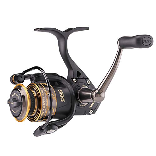 PENN Fishing Battle II & III Spinning Fishing Reel (All Models & Sizes), Black Gold, 2000 (BTLIII2000)