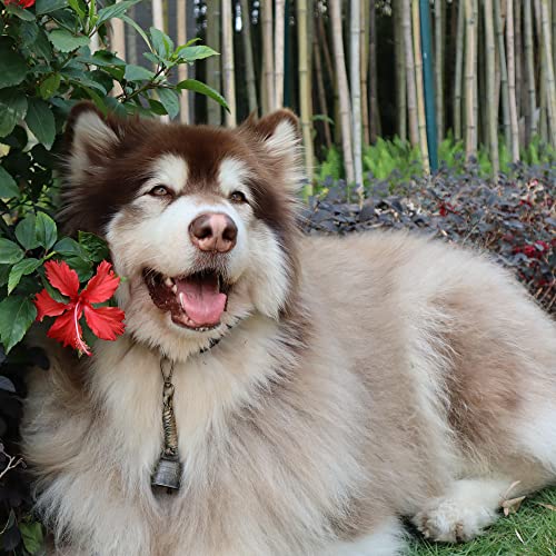 FURSDOLY Pet Dog Collar Bells Bear bells Hiking Bells Pet Bells for Dog Bells for dog Collars Hand-maded Unique Loud Bells (Pattern-1)