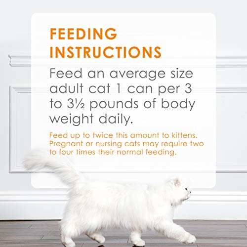 Purina Fancy Feast Grain Free Pate Wet Cat Food Variety Pack, Poultry & Beef Collection - (24) 3 oz. Cans
