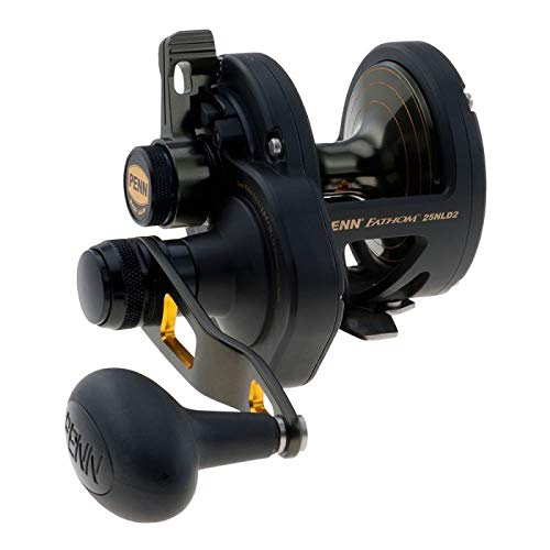 Penn Fathom FTH25NLD2 Lever Drag 2-Speed Reel