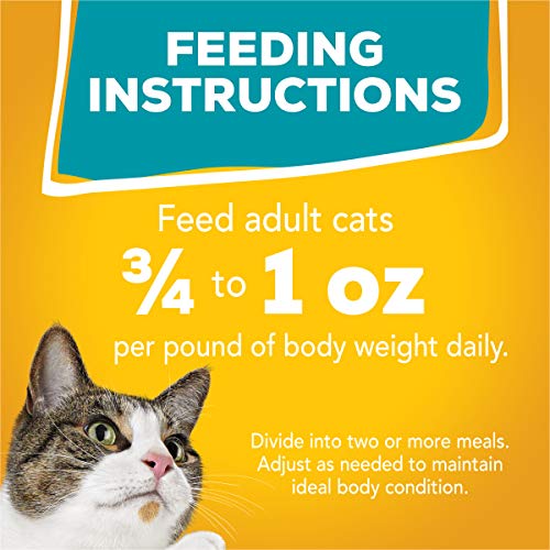 Purina Friskies Gravy Wet Cat Food Variety Pack, Tasty Treasures Prime Filets - (24) 5.5 oz. Cans