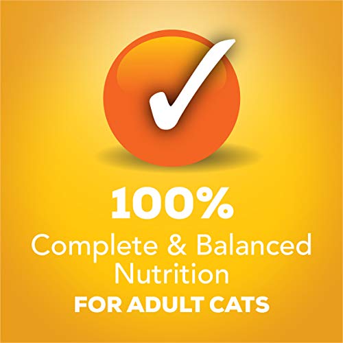 Purina Friskies Gravy Wet Cat Food Variety Pack, Tasty Treasures Prime Filets - (24) 5.5 oz. Cans