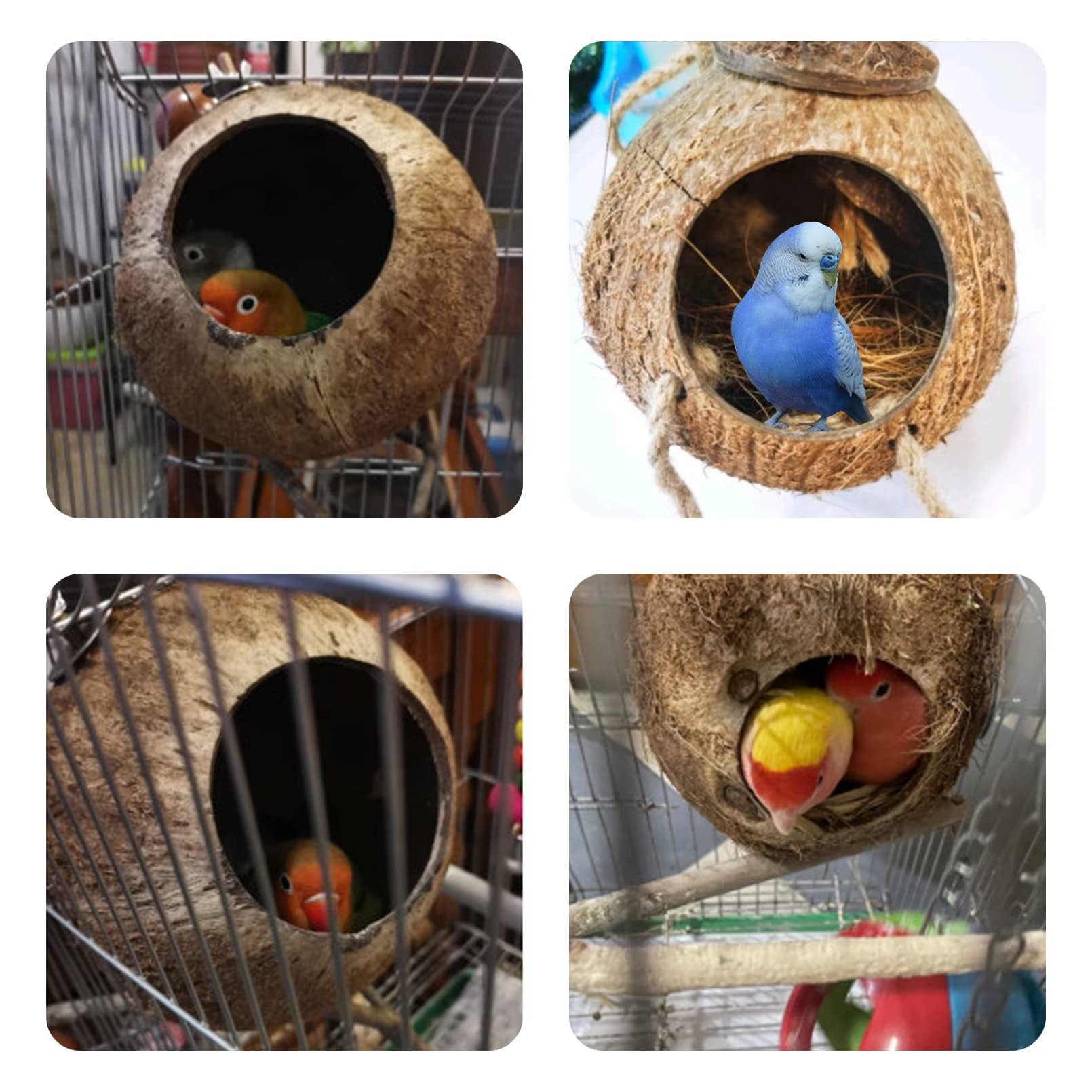 Tfwadmx Natural Coconut Hide with Ladder Perches Hanging Bird House Toy for Cage Parrot Breeding Nest for Gecko Parakeet Lovebird Finch Hamster