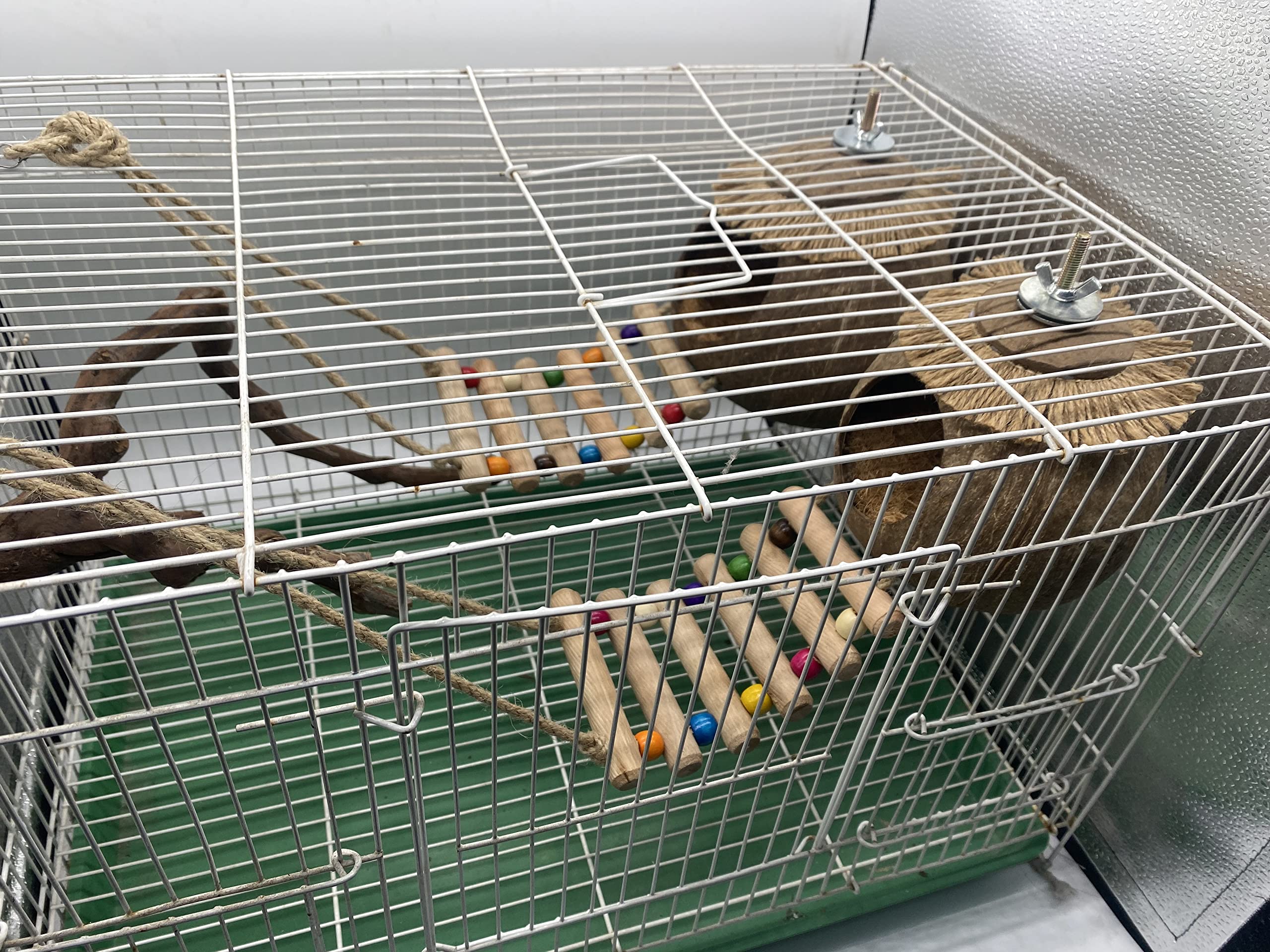 kuminamoja Coconut Bird's Nest with Ladder for Parrots Parakeet Conures Cockatiel and Small Animals (Large)