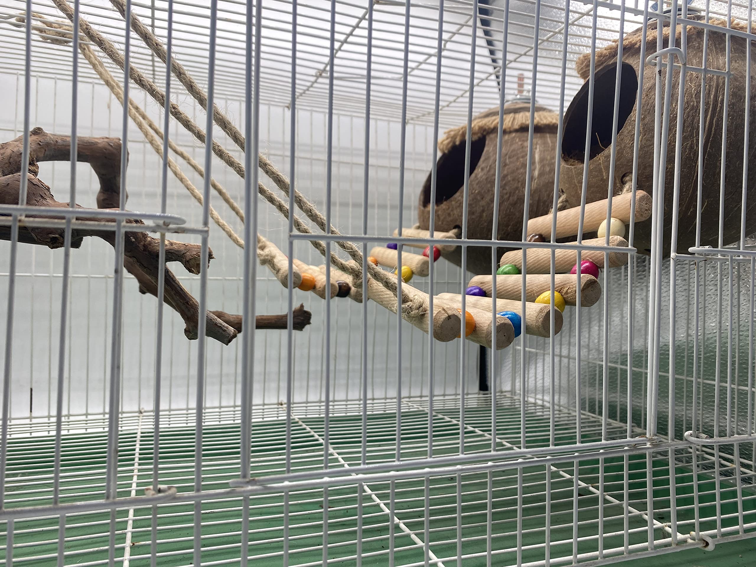 kuminamoja Coconut Bird's Nest with Ladder for Parrots Parakeet Conures Cockatiel and Small Animals (Large)