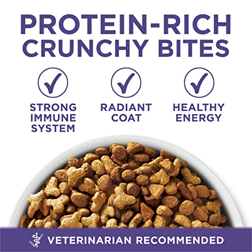 Purina ONE Natural Cat Food for Hairball Control, +PLUS Hairball Formula - 16 lb. Bag