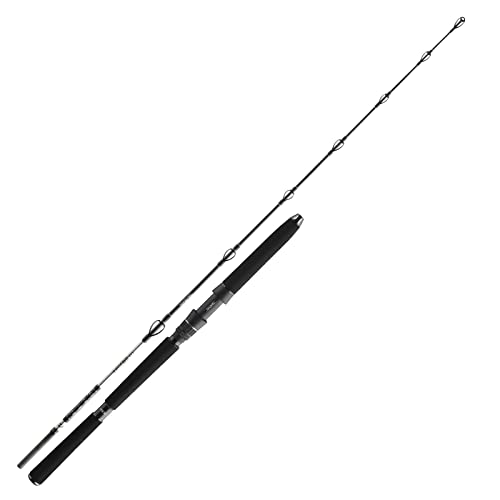 DAIWA BG Deep Sea XXH, Boat Fishing Rod, 7 Feet 3 Inch, 5.3-14.1oz