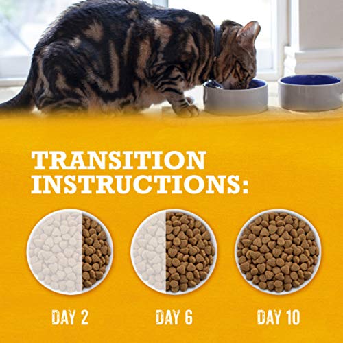 Purina Beyond Grain Free, Natural Dry Cat Food, Grain Free White Meat Chicken & Egg Recipe - 5 lb. Bag (Pack of 1)
