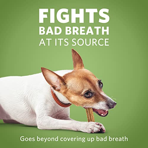 Purina DentaLife ActivFresh Daily Oral Care Mini Dog Chews - (2) 45 ct. Pouches