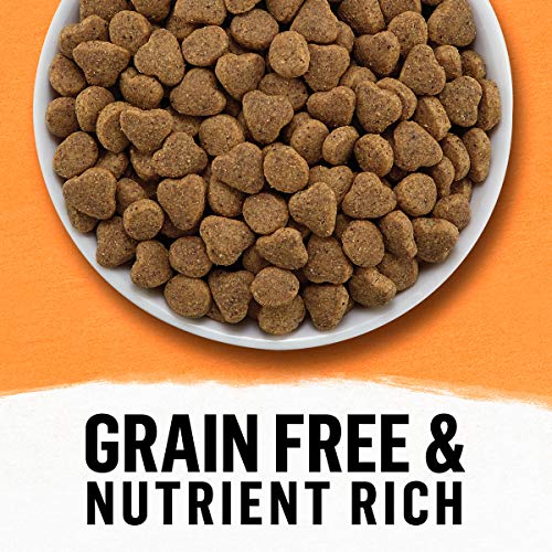 Purina Beyond Grain Free, Natural Dry Cat Food, Grain Free White Meat Chicken & Egg Recipe - 5 lb. Bag (Pack of 1)