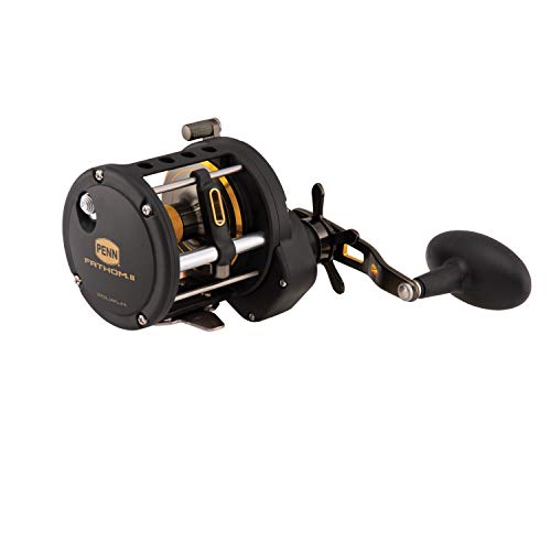 Penn FTHII30LWLH Spinning Rod & Reel Combos, Black Gold