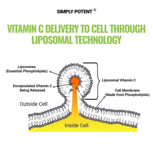 Liposomal Vitamin C 1500mg, 180 Capsules, Enhanced Absorption Fat Soluble Ascorbic Acid VIT C, Liquid Liposomal Vitamin C Alternative, High Dose Supplement for Immune, Collagen, Heart & Brain Support
