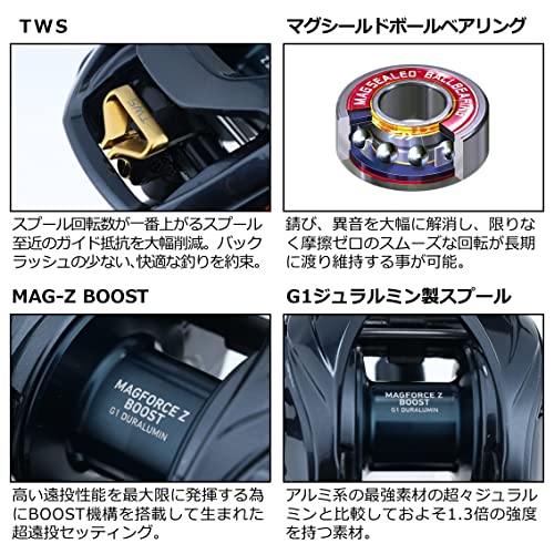 Daiwa Steez A TW HLC 8.1R Baitcasting Reel