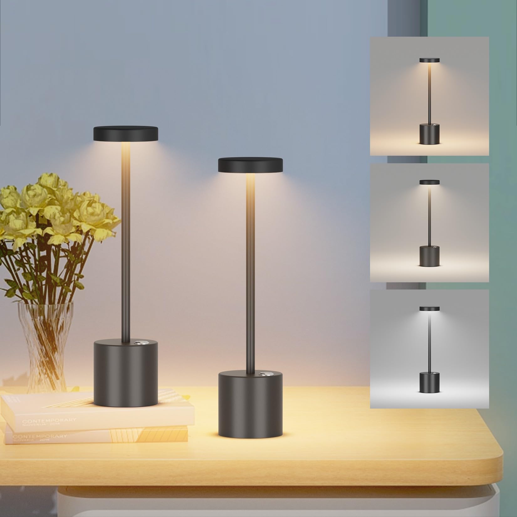 Howskys 2 Pack USB Rechargeable Desk Lamp, Modern LED Cordless Desk Lamp, 5500mAh 3 Tone Light Touch Desk Lamp for Dining Room/Indoor/Outdoor (Black)