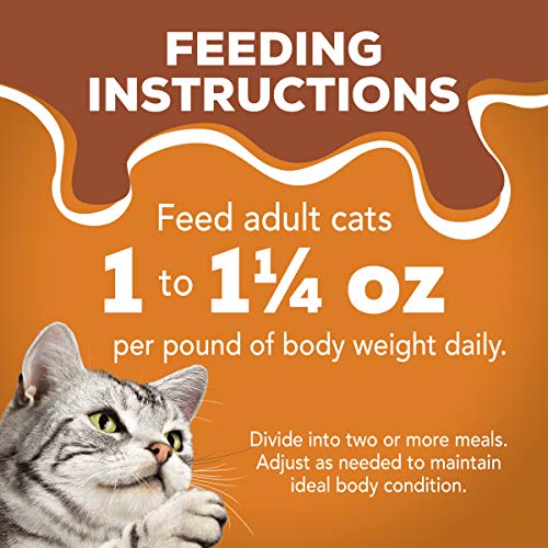 Purina Friskies Gravy Wet Cat Food Variety Pack, Extra Gravy Chunky - (24) 5.5 oz. Cans