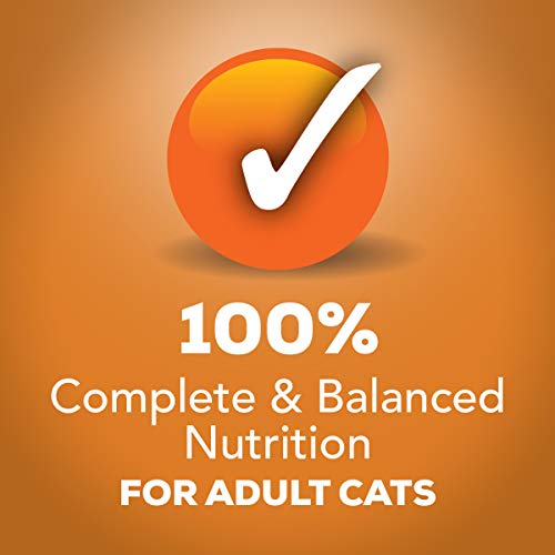 Purina Friskies Gravy Wet Cat Food Variety Pack, Extra Gravy Chunky - (24) 5.5 oz. Cans