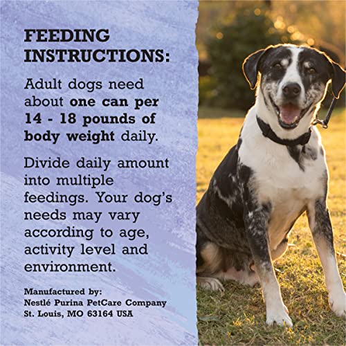 Purina Beyond High Protein, Grain Free, Natural Pate Wet Dog Food, WILD Turkey, Liver & Duck Recipe - (12) 13 oz. Cans