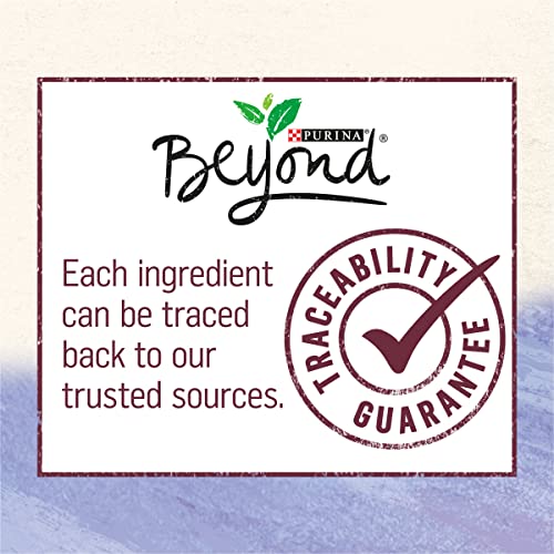 Purina Beyond High Protein, Grain Free, Natural Pate Wet Dog Food, WILD Turkey, Liver & Duck Recipe - (12) 13 oz. Cans