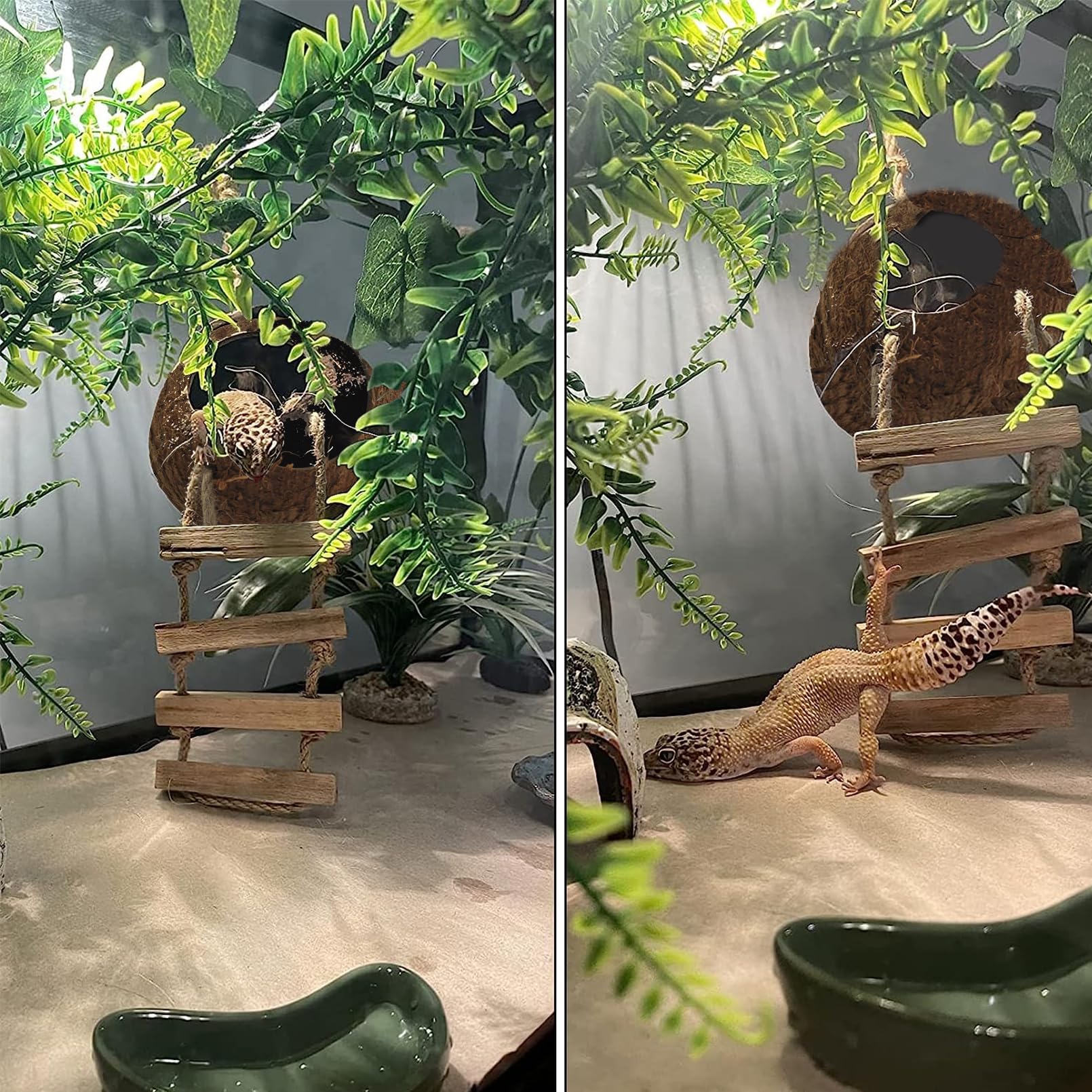 MUYG 6PCS Crested Gecko Coconut Hut, Lizard Coco Den with Ladder and Reptile Hammock Bearded Dragon Tank Accessories Climbing Hanging Plants Jungle Vine Flexible Reptile Leaves Decor