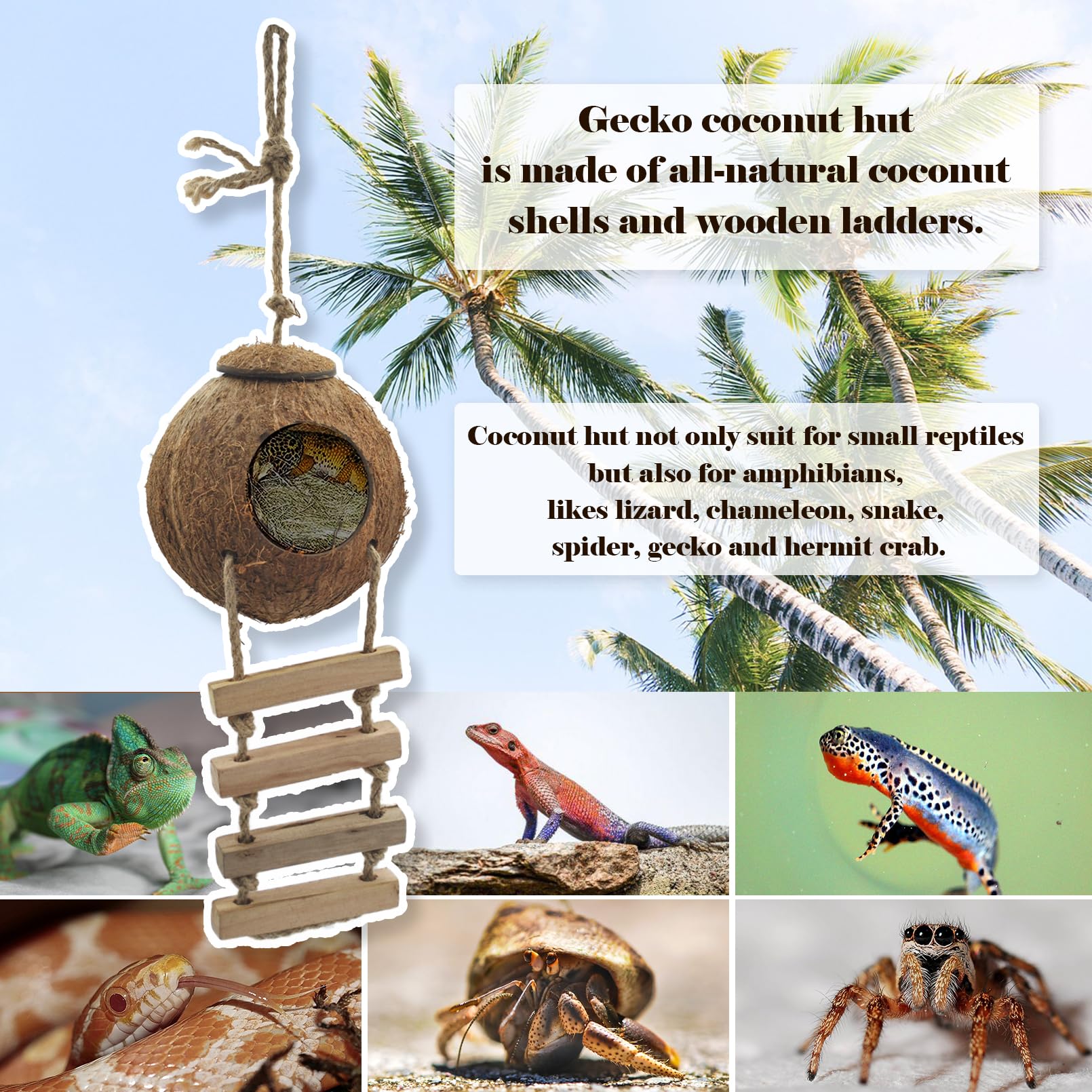 MUYG 6PCS Crested Gecko Coconut Hut, Lizard Coco Den with Ladder and Reptile Hammock Bearded Dragon Tank Accessories Climbing Hanging Plants Jungle Vine Flexible Reptile Leaves Decor