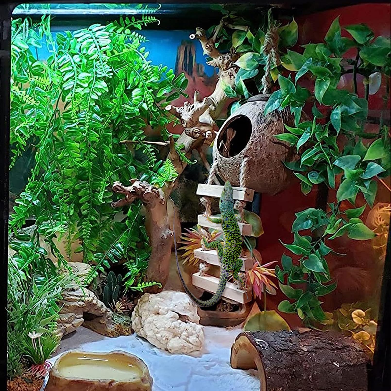 MUYG 6PCS Crested Gecko Coconut Hut, Lizard Coco Den with Ladder and Reptile Hammock Bearded Dragon Tank Accessories Climbing Hanging Plants Jungle Vine Flexible Reptile Leaves Decor