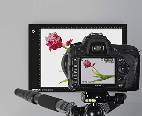 Kaiser Slimlite Plano 5000K 10.5x15.5" Battery/AC Thin Dimmable LED Lightbox (202454)