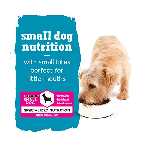 Purina Beneful Small Breed Wet Dog Food With Gravy, IncrediBites with Real Salmon - 3 oz. Cans 3 Count (Pack of 8)