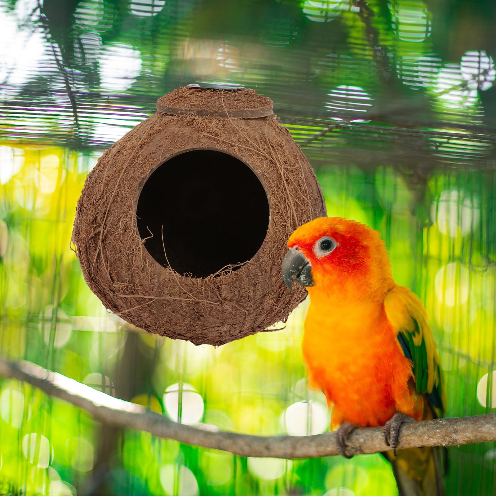 balacoo 2pcs Coconut Parakeet Nesting Box - Hanging Bird Nest Hut Natural Coconut Birdhouse Cage, Bird Hideout, Breeding Nest for Parrot Parakeet and Small Birds