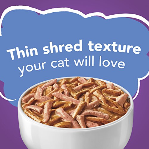 Purina Friskies Gravy Wet Cat Food, Shreds With Turkey & Giblets in Gravy - (24) 5.5 oz. Cans