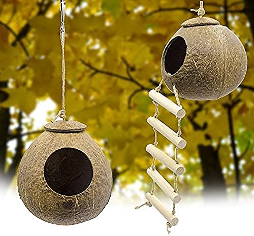 XD Designs Coconut Bird Nest Wooden Coconut Shell Nests Wood Handmade Nest House Hut Cage for Birds Pet Parrot -B