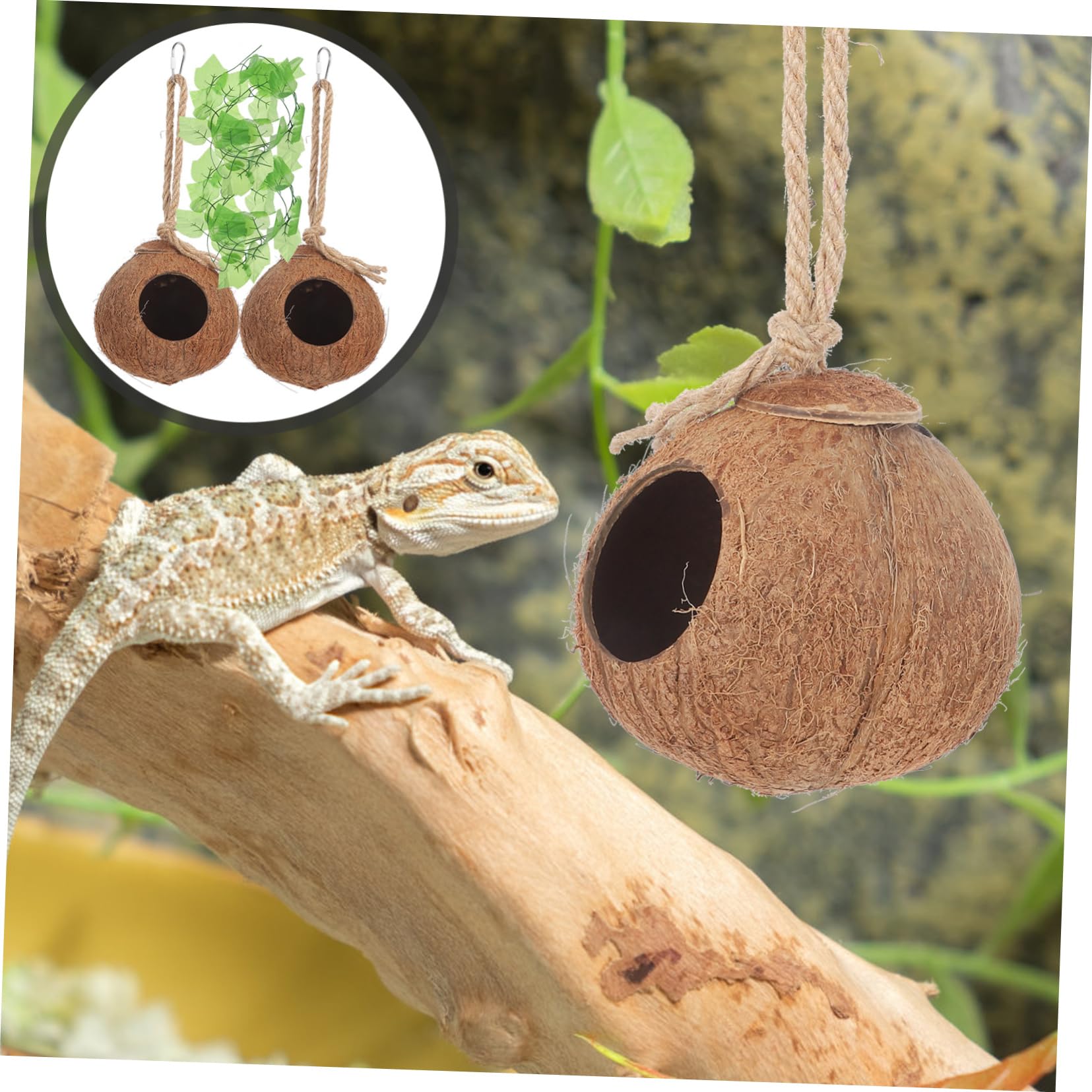 TEHAUX 4pcs Lizard Coconut Nest Pet House Natural Pigeon Bird House Crested Gecko Hide Parrot Cage Cages Bird Hut Pet s Coconut Shell Reptile Pet Nest Bird Cage Rope Hamster