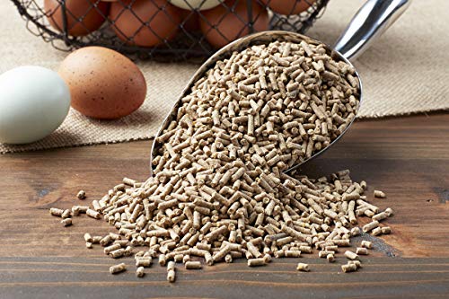 Purina Layena+ | Nutritionally Complete Layer Hen Feed | Omega 3 Formula - 10 Pound (10 lb) Bag