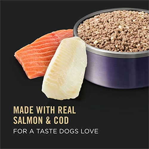 Purina Pro Plan Sport High Protein With Salmon & Cod Entrée Wet Dog Food - (12) 13 oz. Cans