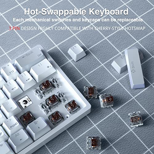 SOLAKAKA SK961 RGB Wireless 60 Percent Keyboard Supports Triple Mode Connection(BT5.0+2.4GHz+Type C Wired),Hot Swappable Gaming Keyboard 60% Percent Keyboard with Customizable Software,Brown Switch