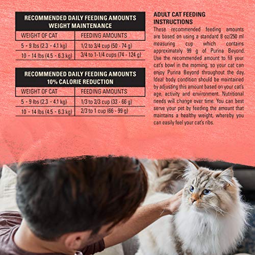 Purina Beyond Grain Free, Natural Dry Cat Food, Simply Indoor Salmon, Egg & Sweet Potato Recipe - 3 lb. Bag