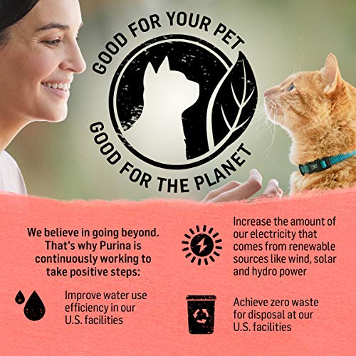 Purina Beyond Grain Free, Natural Dry Cat Food, Simply Indoor Salmon, Egg & Sweet Potato Recipe - 3 lb. Bag