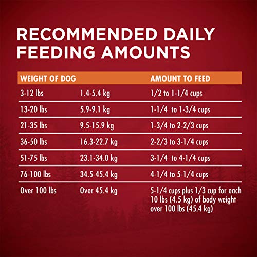 Purina ONE True Instinct High Protein Formula with Real Beef and Salmon Dry Dog Food - 15 lb. Bag