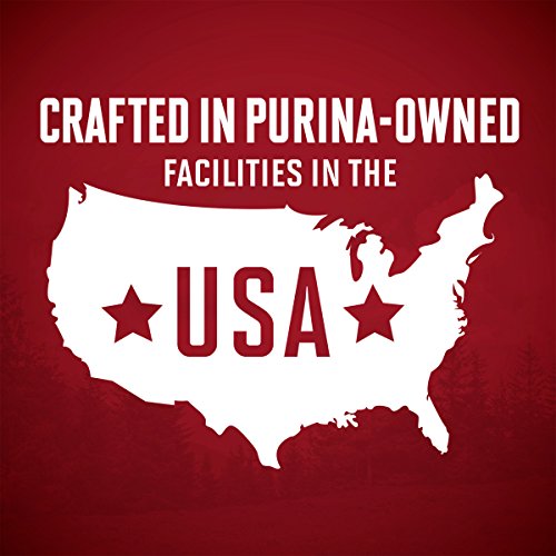 Purina ONE True Instinct High Protein Formula with Real Beef and Salmon Dry Dog Food - 15 lb. Bag