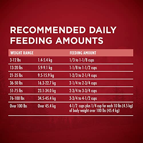 Purina ONE True Instinct High Protein Formula with Real Beef and Salmon Dry Dog Food - 15 lb. Bag