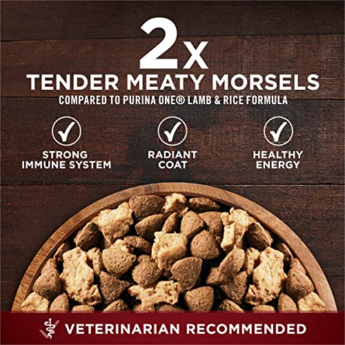 Purina ONE True Instinct High Protein Formula with Real Beef and Salmon Dry Dog Food - 15 lb. Bag