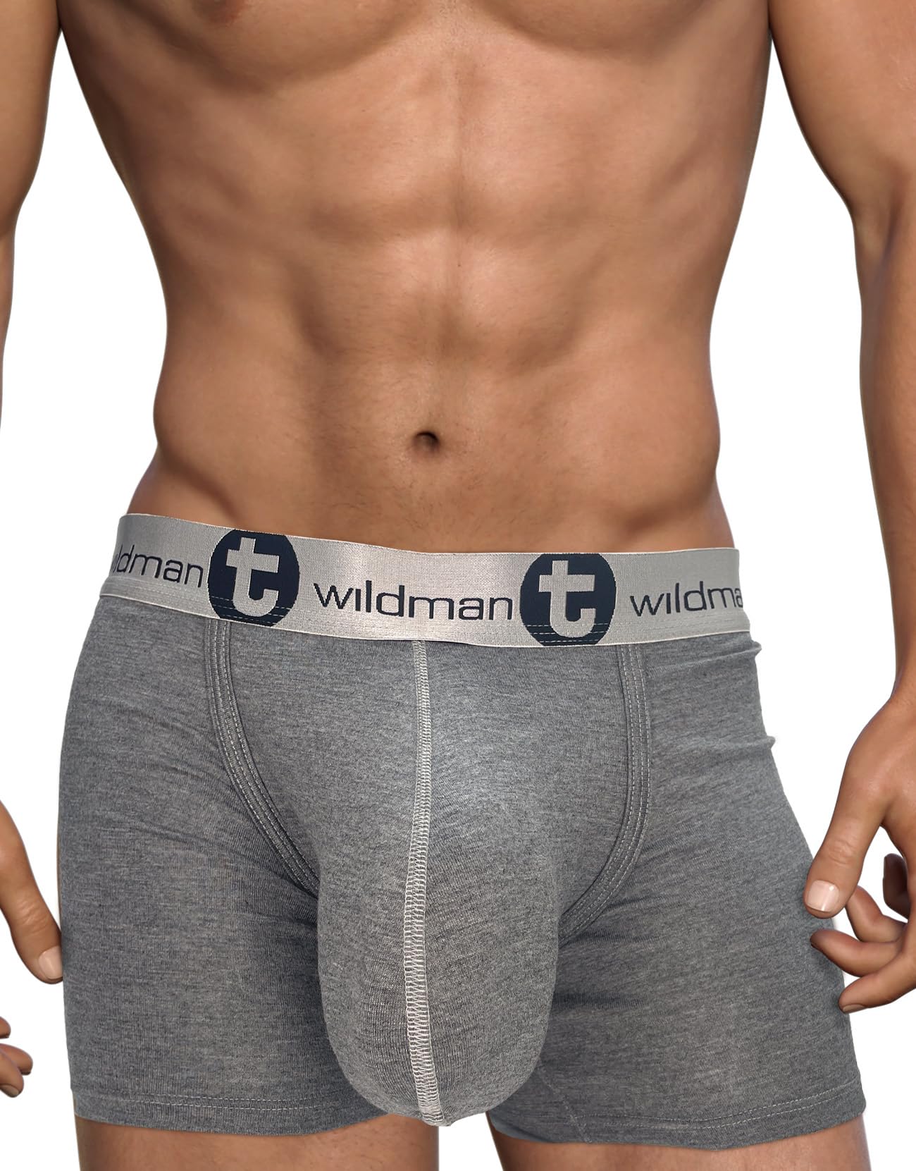 Wildmant Modal Monster Cock 5" Inseam Boxer Brief Gray (US, Alpha, Large, Regular, Regular)