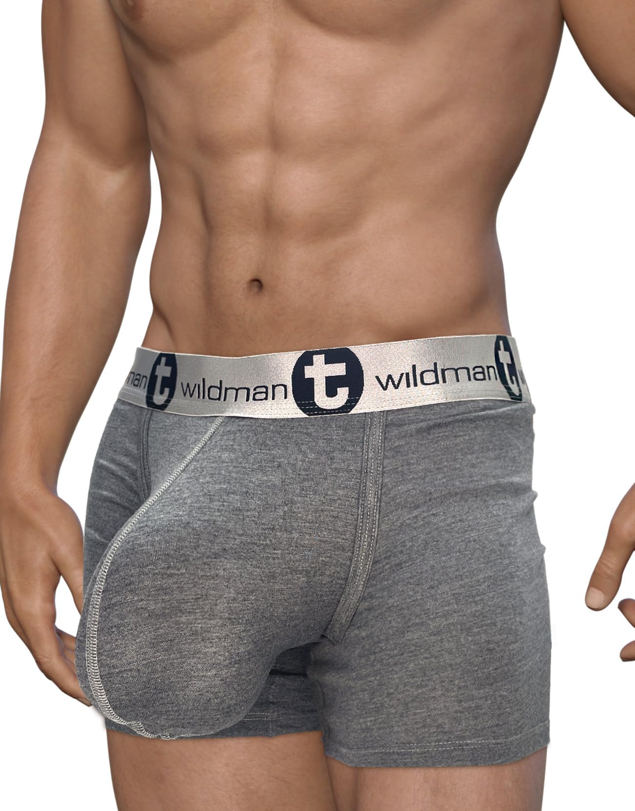 Wildmant Modal Monster Cock 5" Inseam Boxer Brief Gray (US, Alpha, Large, Regular, Regular)