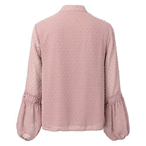 Long Sleeve Tops for Women Chiffon V Neck Collared Tie Neck Mesh Lace Fall Tshirts Tee Lanterned Sleeve Plain Autumn Elegant T-shirts Swiss Dot Summer Trendy Tunic Blouses Casual Solid Color Pink