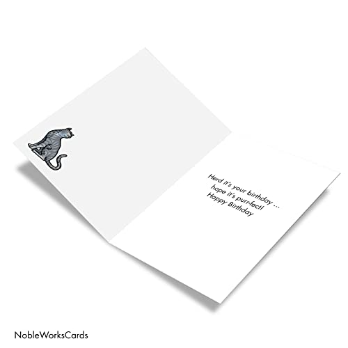 NobleWorks Pack of 3 Funny Birthday Greeting Cards with Envelopes (1 Designs, 3 Each) Herd Anything C9285BDG-C3x1